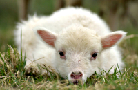 Klaus Pollmeier.de: Startseite