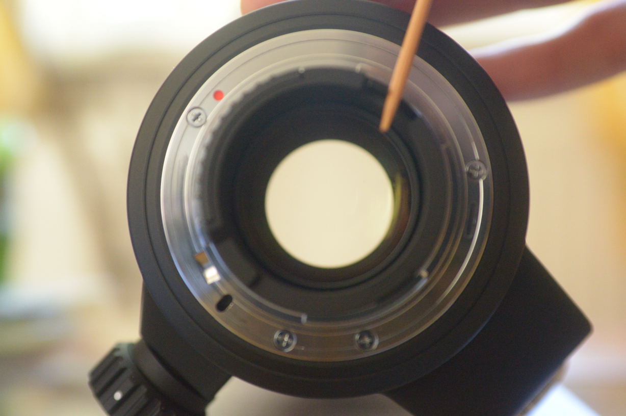 Klaus Pollmeier.de: Naturfotografie